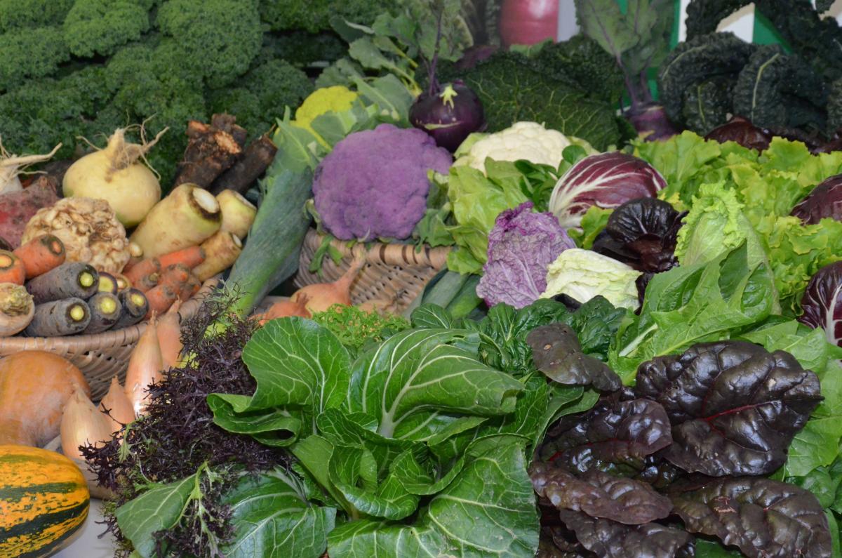 Wintergemüse: die regionale Antwort auf den Klimawandel | Eferdinger ...