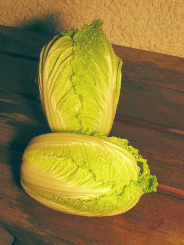 Chinakohl | Eferdinger Gemüselust